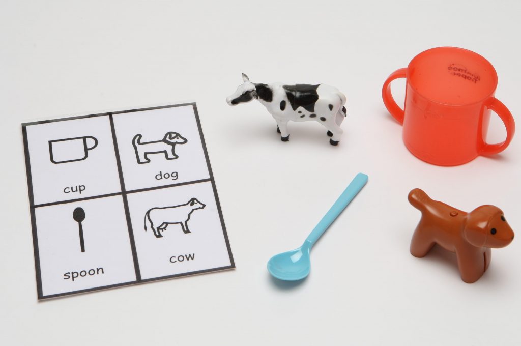 What is Makaton - Singing Hands